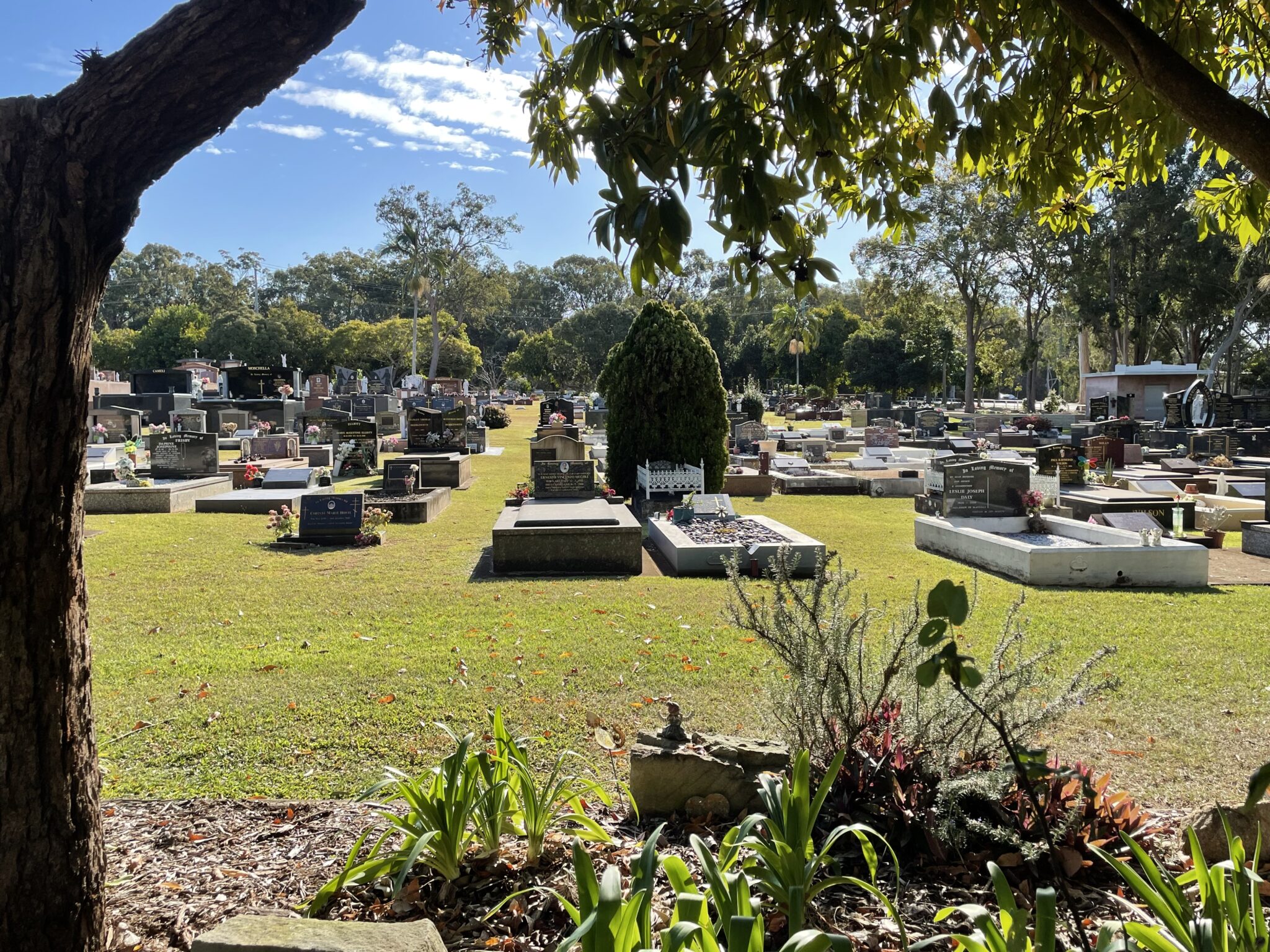 Visiting a Cemetery - LIFE - Life Insights For Everyone